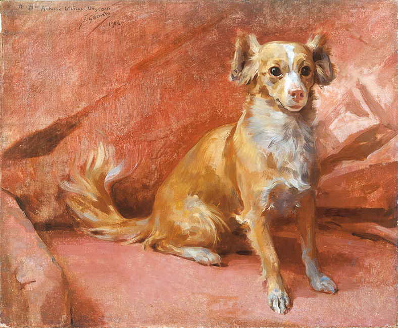 El perro del pintor – MUSEO GARNELO